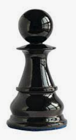 Poisoned Pawn by Jennifer Greene-Sullivan – The Aging English Major